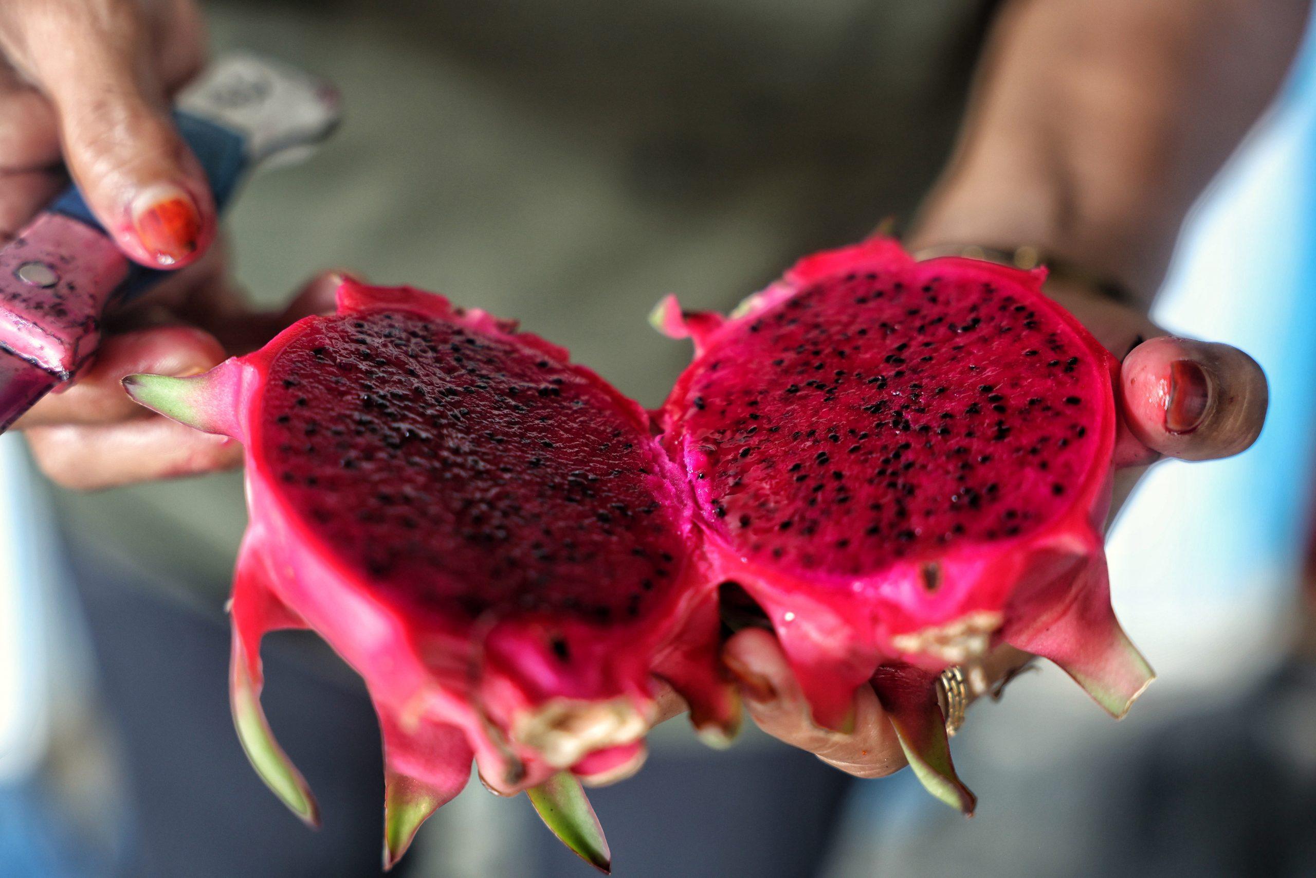 Dragon Fruit: The Superfood of Tomorrow - Terra Cultura
