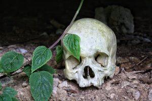 Toraja Funeral Rites: Traditions and Ancestral Symbols - Terra Cultura