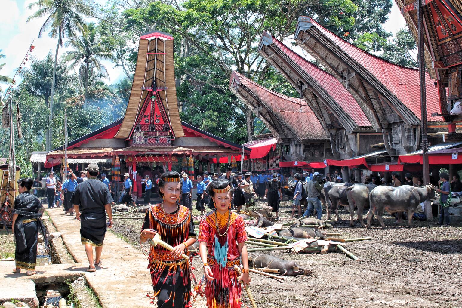 Toraja Funeral Rites: Traditions and Ancestral Symbols - Terra Cultura