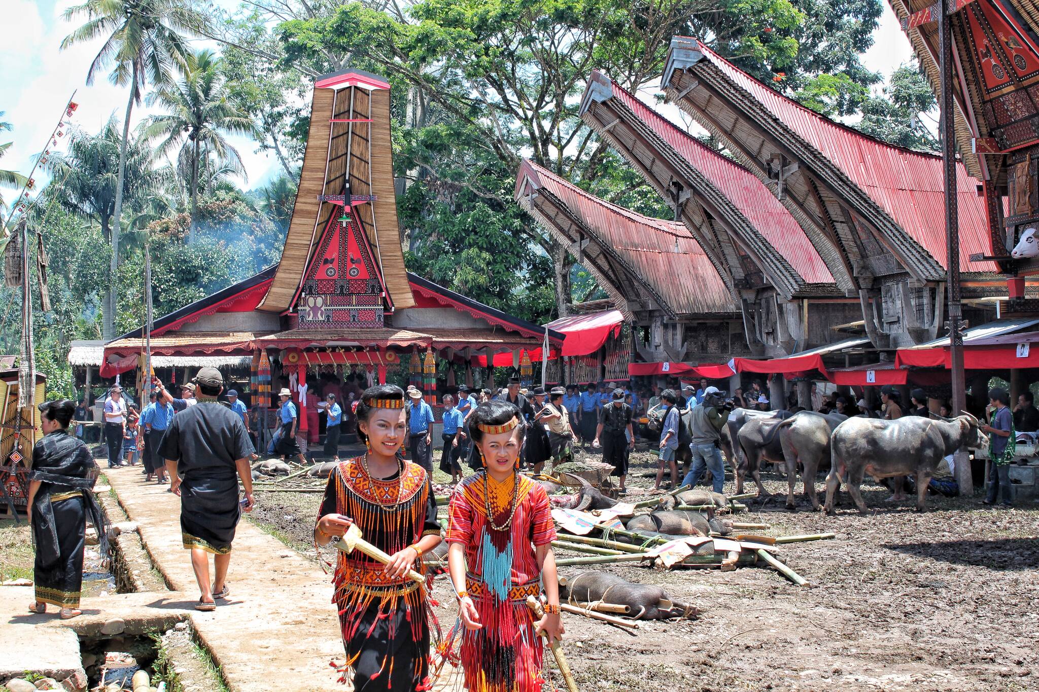 Toraja Funeral Rites: Traditions and Ancestral Symbols - Terra Cultura