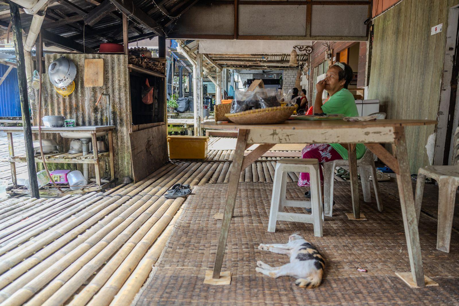 The Bidayuh of Borneo: History and Traditions of the Longhouses - Terra ...