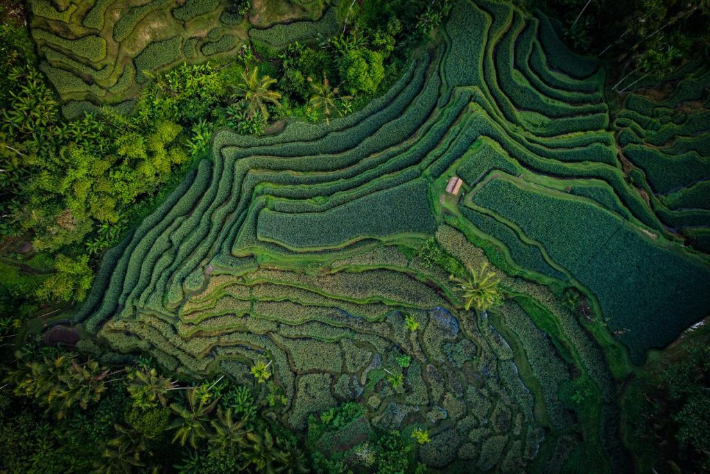 When nature preserves the memory of human actions - Terra Cultura