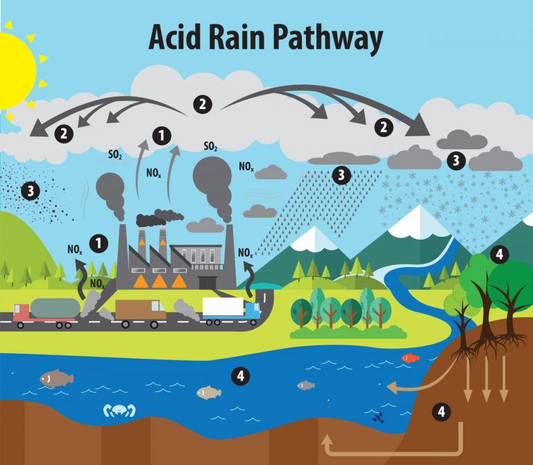 La pluie acide n’a pas disparu, elle a changé de visage - Terra Cultura